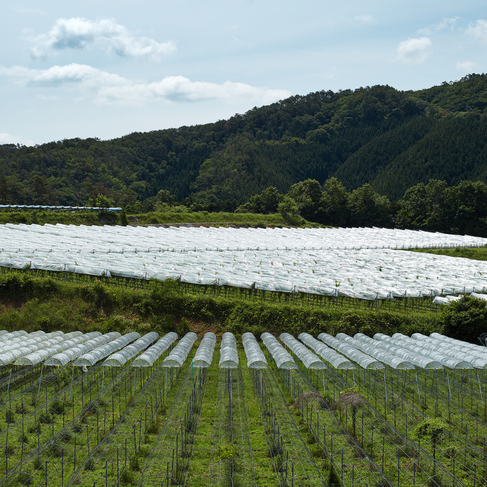 A Representative Place in Okayama Prefecture. Attracted by Ryuta ...