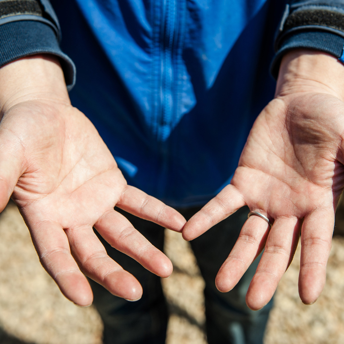 Detours Are Not Unacceptable. Having Chains of Encounters, the Life of ...